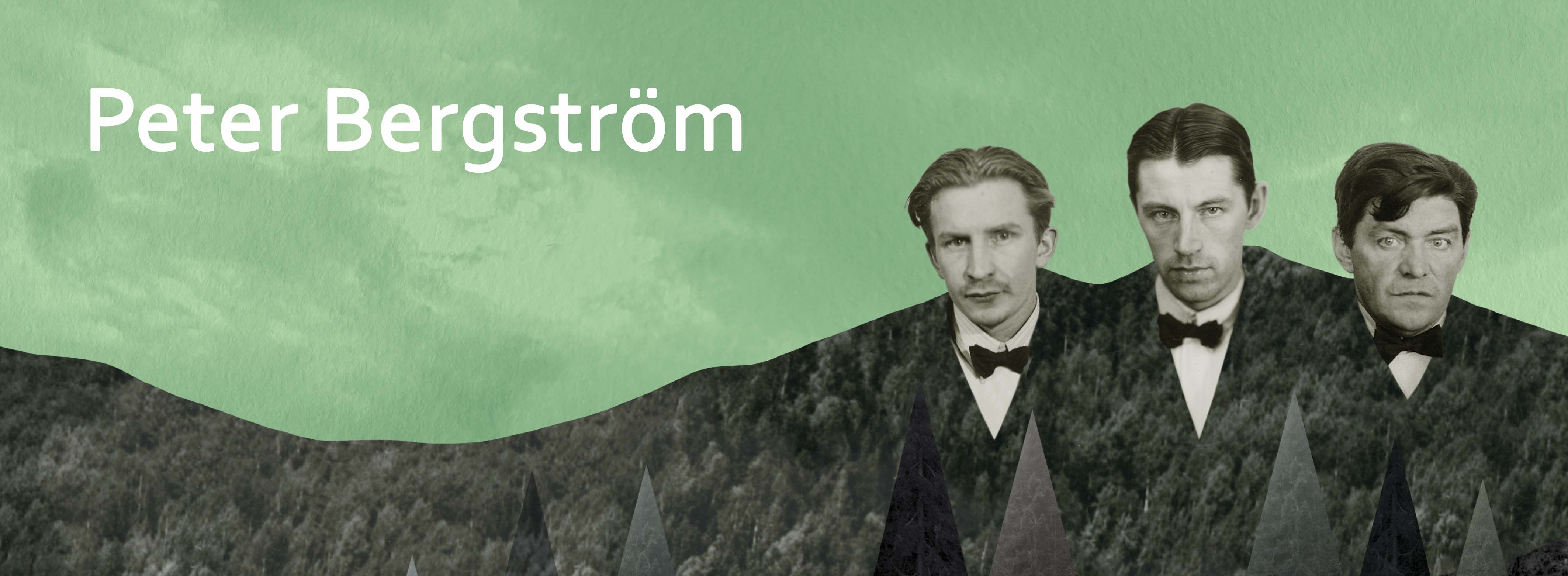 Böcker – Peter Bergström