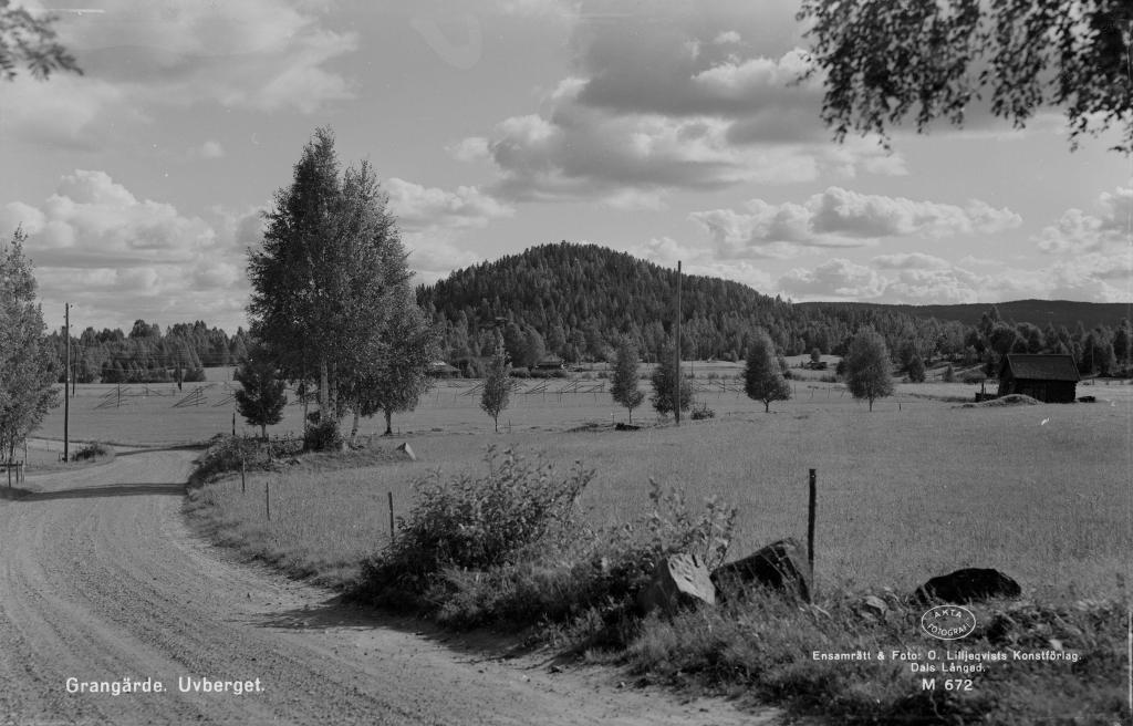 Kvinnan i skogen – Peter Bergström