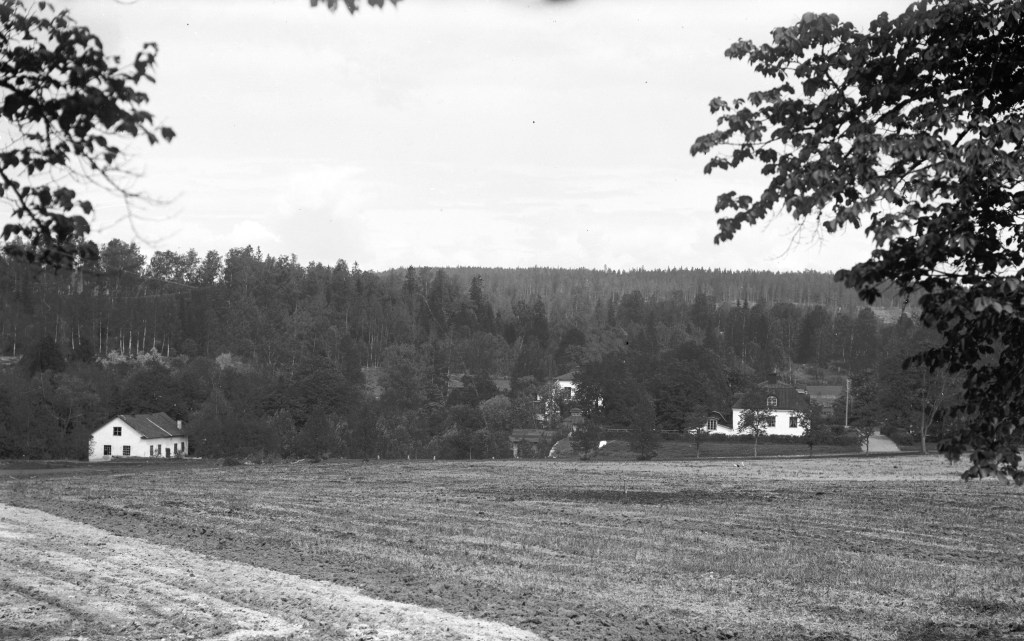 Döden i Stora Skedvi – Peter Bergström