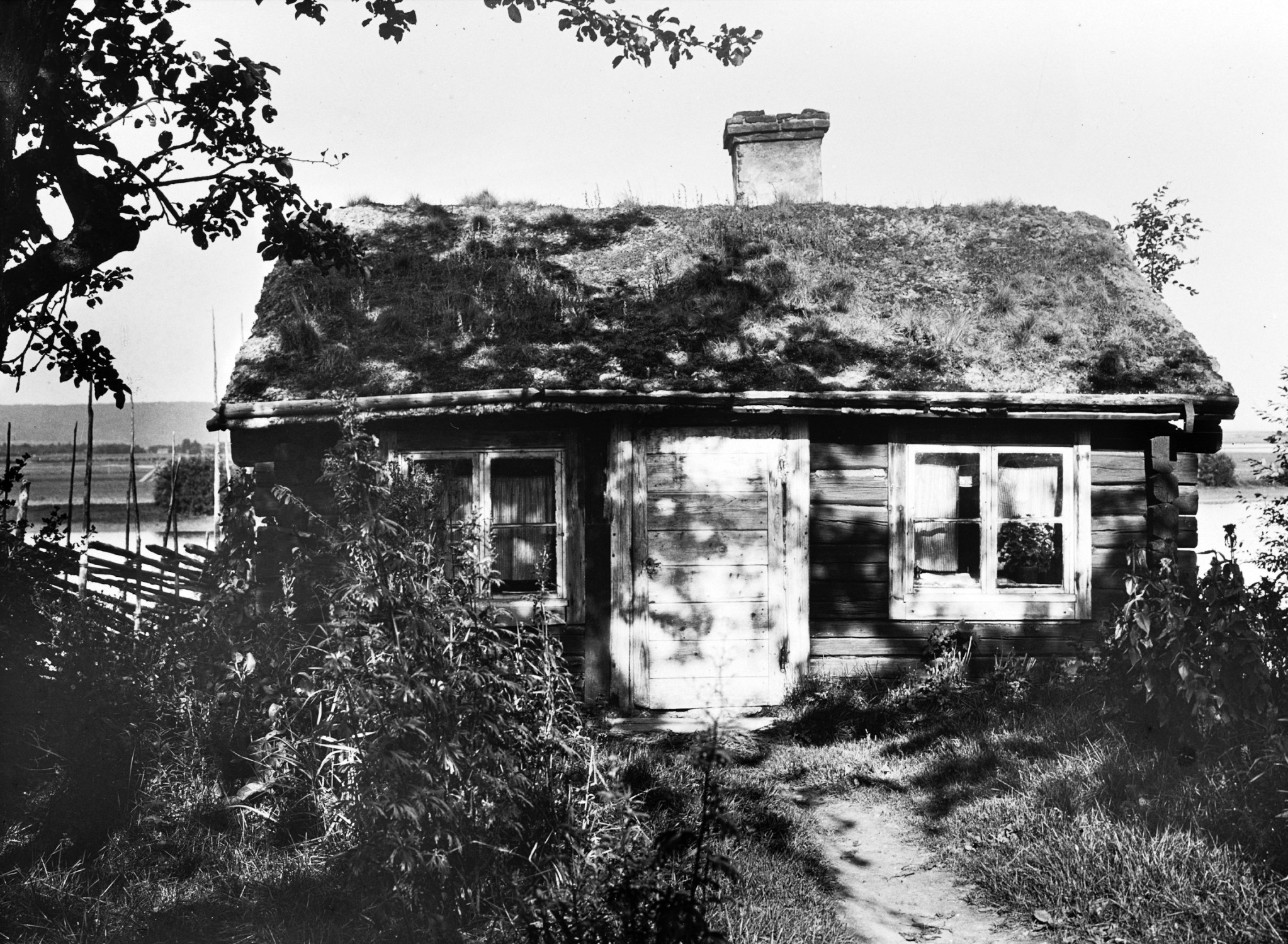 Verner, Hildur och döden – Peter Bergström